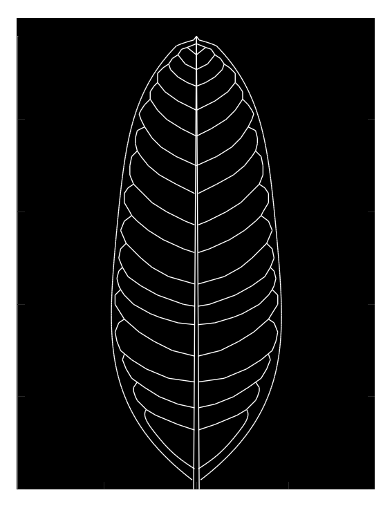 Mathematical And Algorithmic Art Centre For Mathematical Modelling