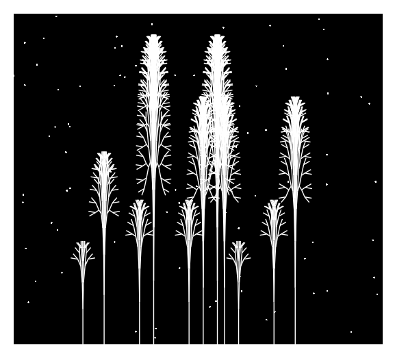 Mathematical And Algorithmic Art Centre For Mathematical Modelling